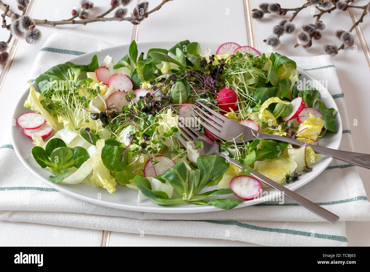 Rapunzel salad hi-res stock photography and images - Alamy