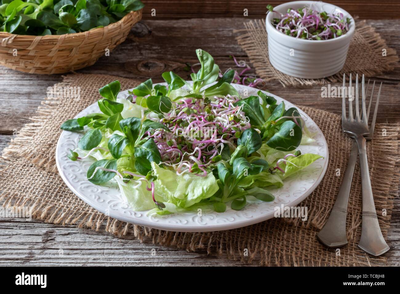 Rapunzel salad hi-res stock photography and images - Alamy