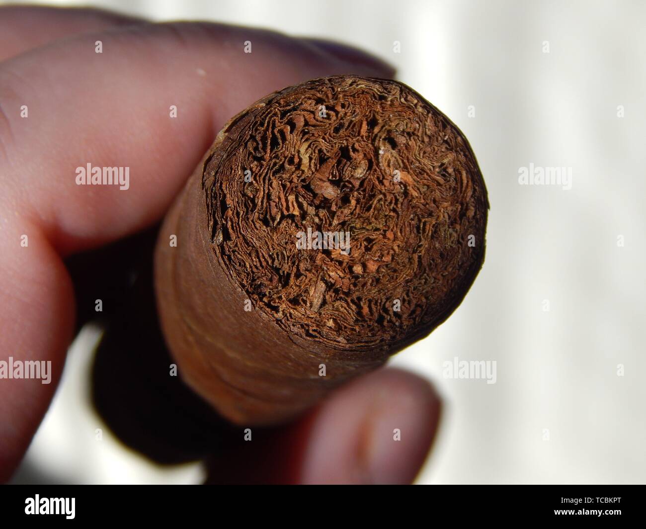 Cuban tobacco industry hi-res stock photography and images - Alamy