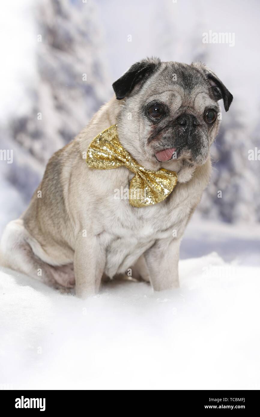 Oldies style hi-res stock photography and images - Alamy