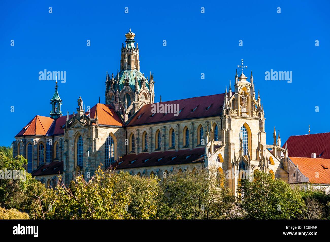 Kladruby hi-res stock photography and images - Alamy