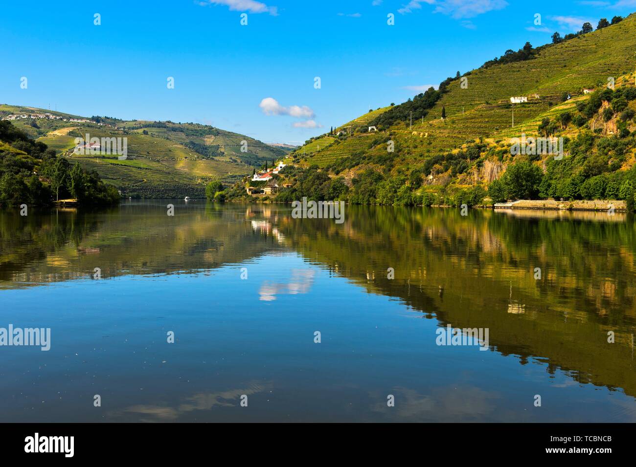 Valley of douro hi-res stock photography and images - Alamy