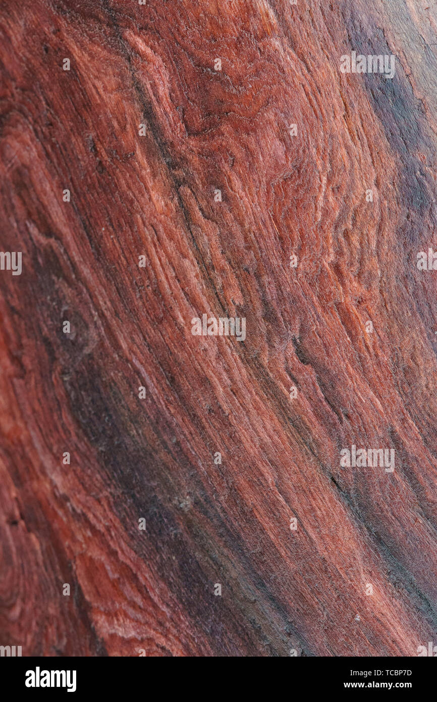 Redwood plank hi-res stock photography and images - Alamy
