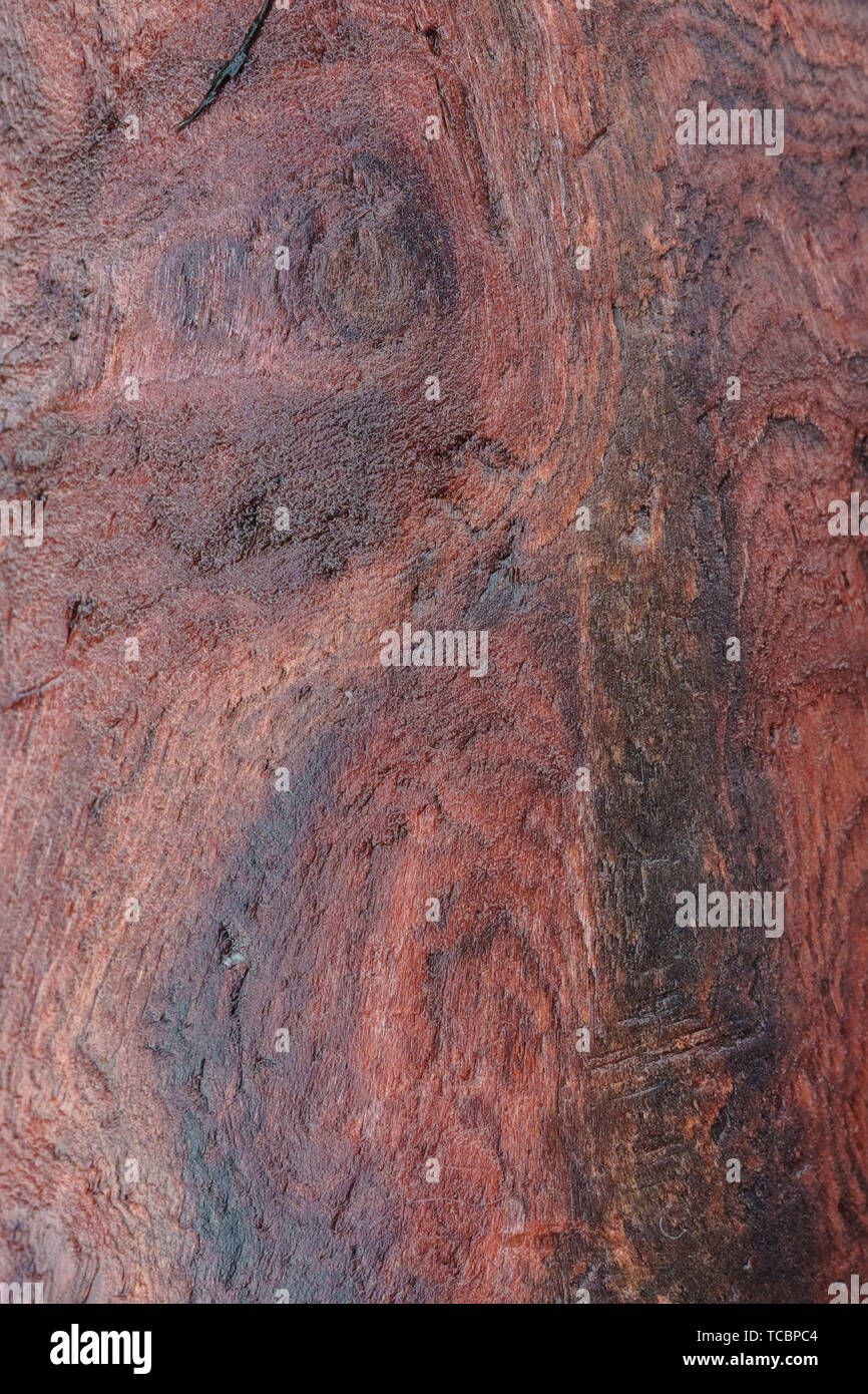 Redwood plank hi-res stock photography and images - Alamy