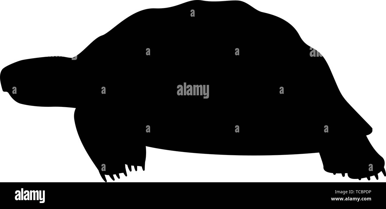 Turtle profile view Stock Vector Images - Alamy