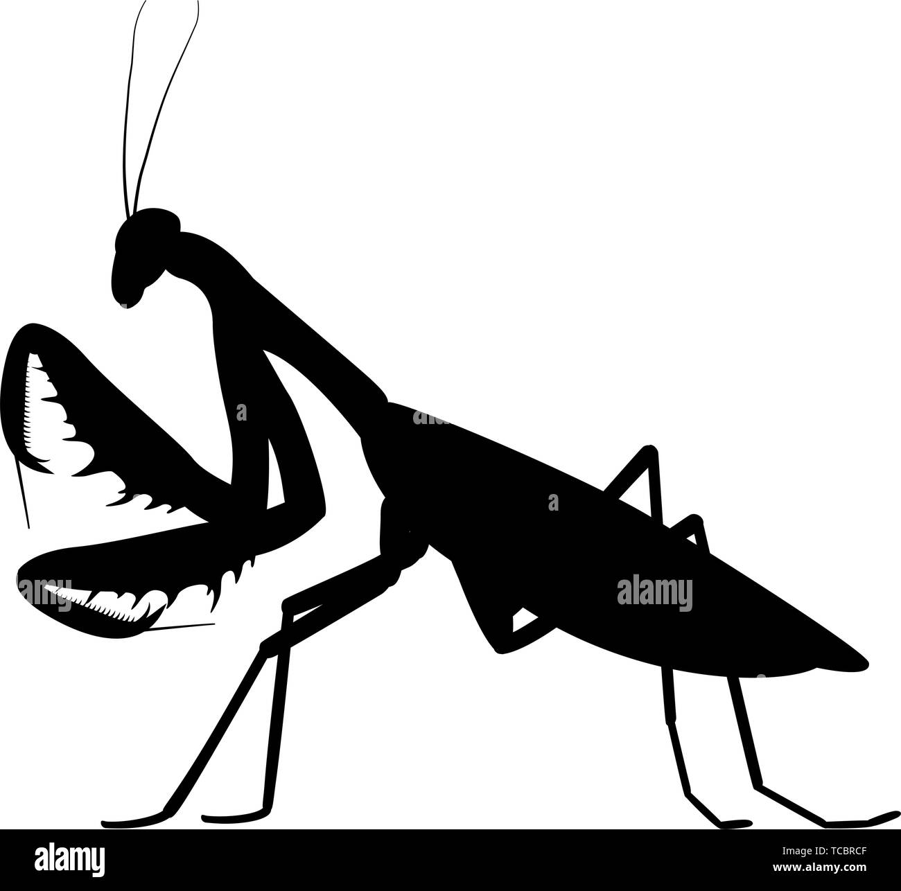 Praying Mantis Silhouette