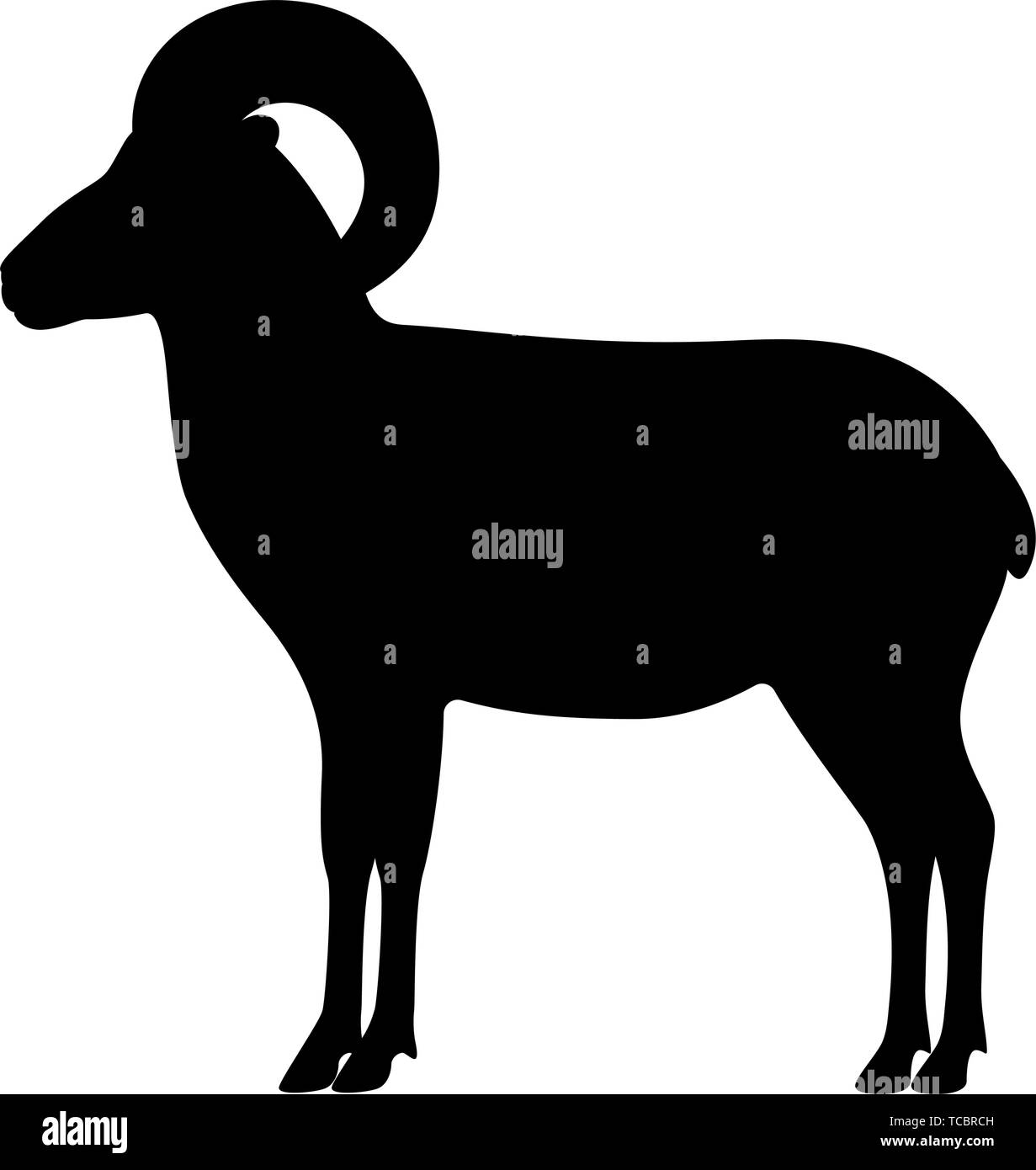 Vector black silhouette of a mountain ram Stock Vector Image & Art - Alamy