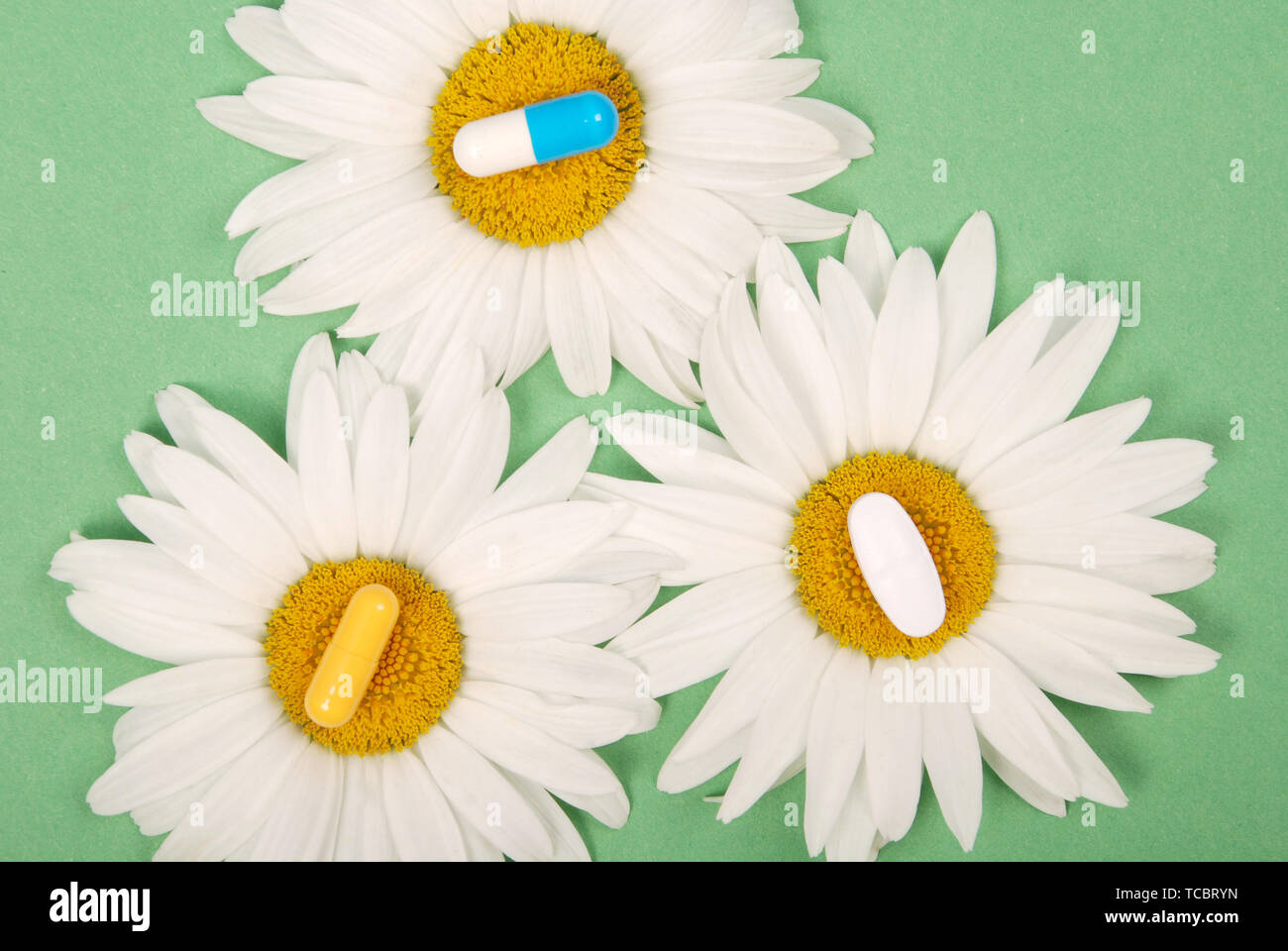 Chamomile flowers, homeopathic medicine. Tablets on yellow pollen Stock ...