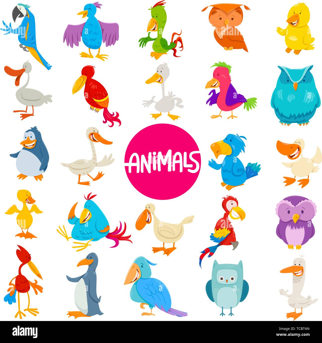 Cartoon Illustration of Birds Animal Characters Large Set Stock Vector ...
