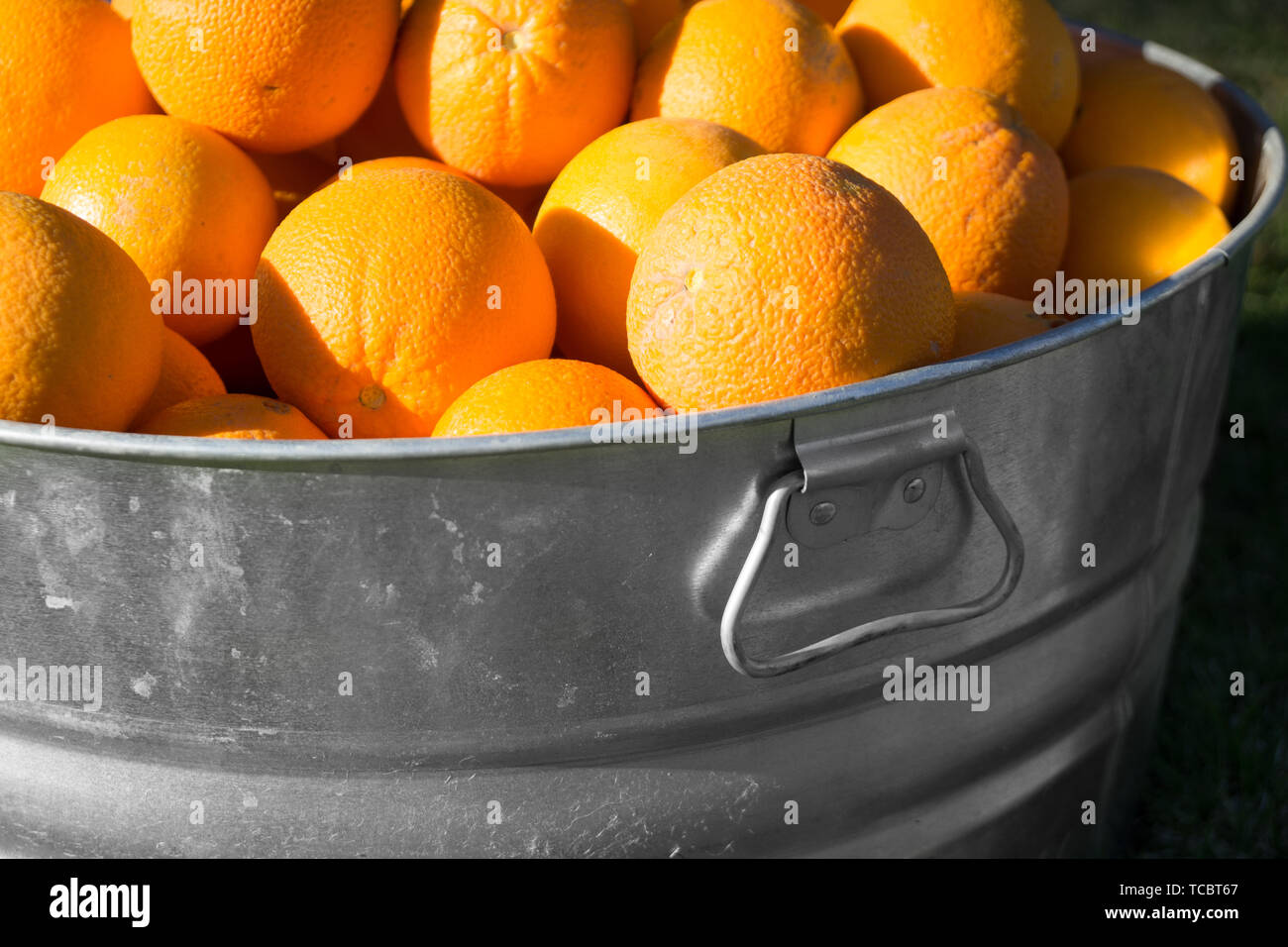 Oranges in Galvanized Metal Tub Stock Photo - Alamy