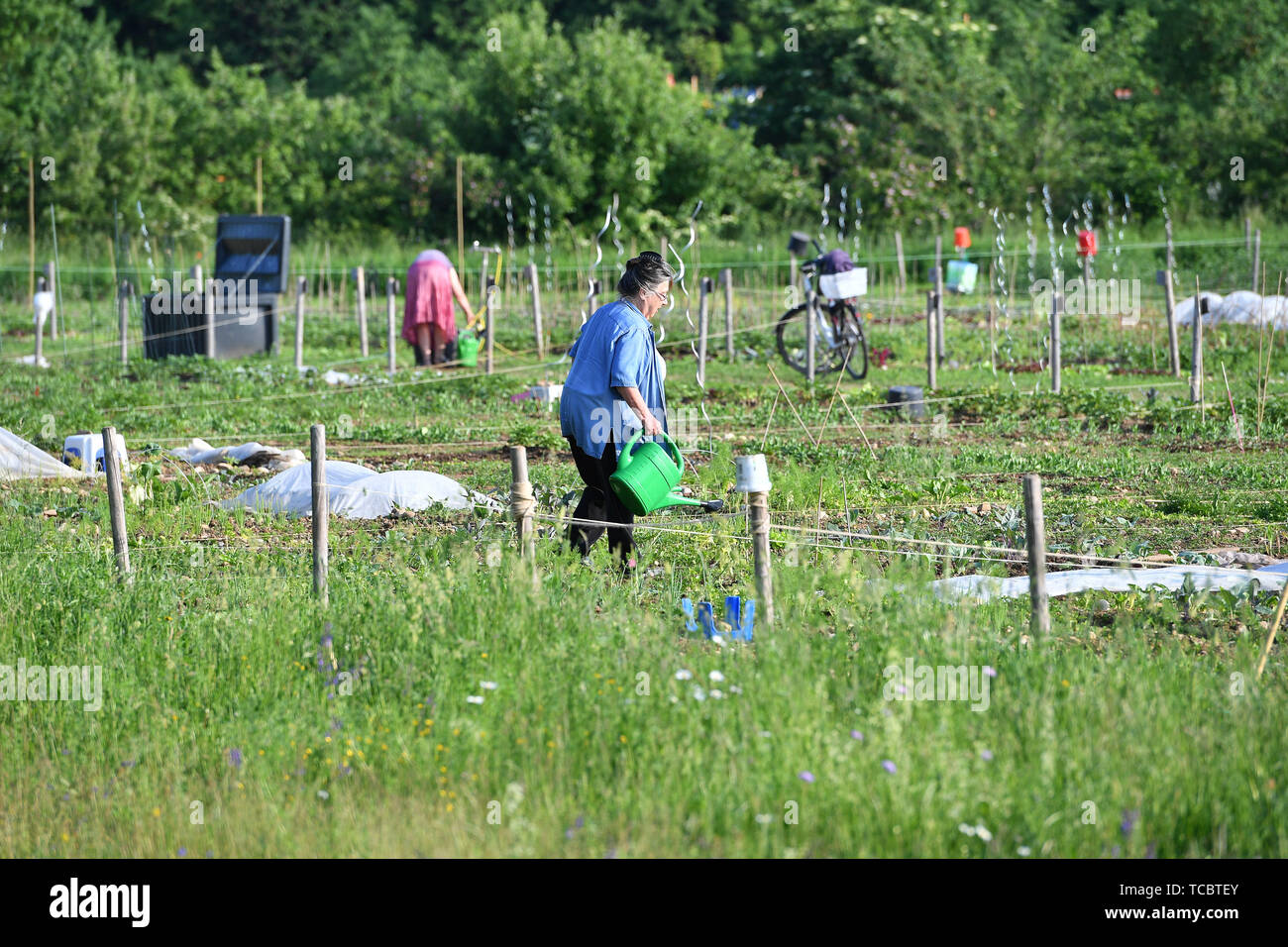 Allotment gardening deutschland hi-res stock photography and images - Alamy