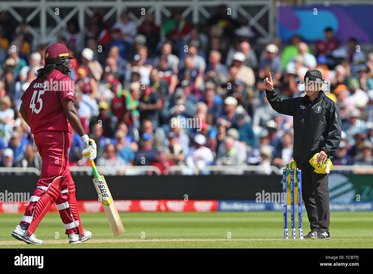 Cricket umpire signals out hi-res stock photography and images - Alamy