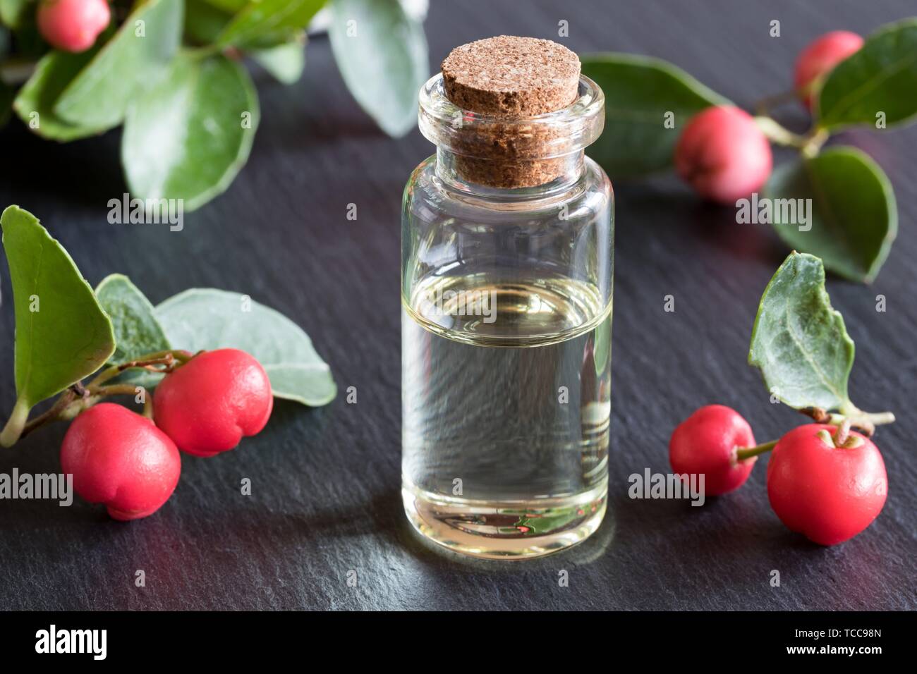 The eastern teaberry hi-res stock photography and images - Alamy