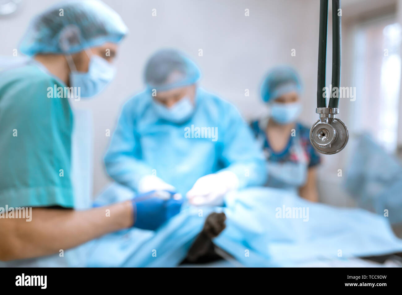 An experienced veterinarian in a mask and gown operates a pet dog in a ...
