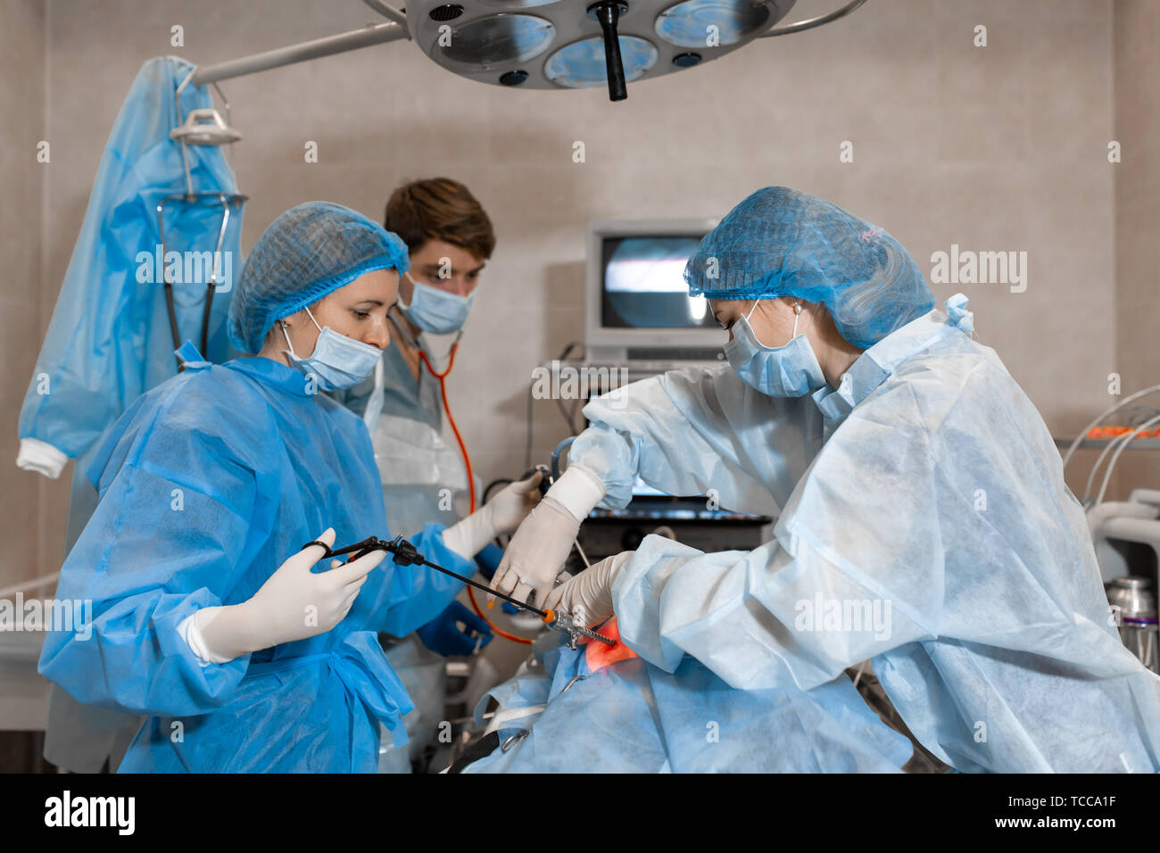 Vet doing the operation for sterilization. The cat on the operating ...