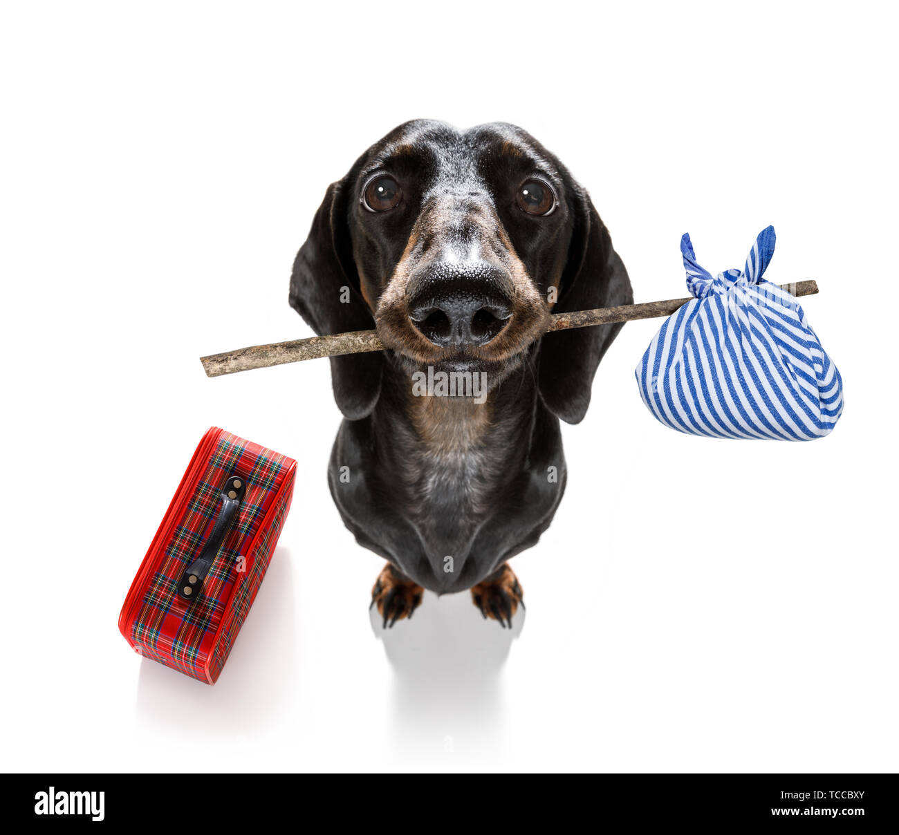 Are Homeless But Stick High Resolution Stock Photography and Images - Alamy