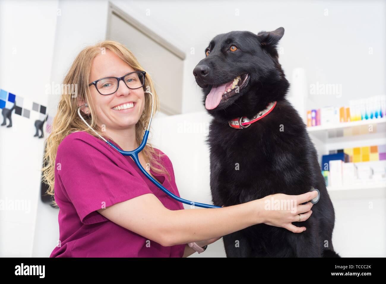 Female doctor using stethoscope hi-res stock photography and images - Alamy