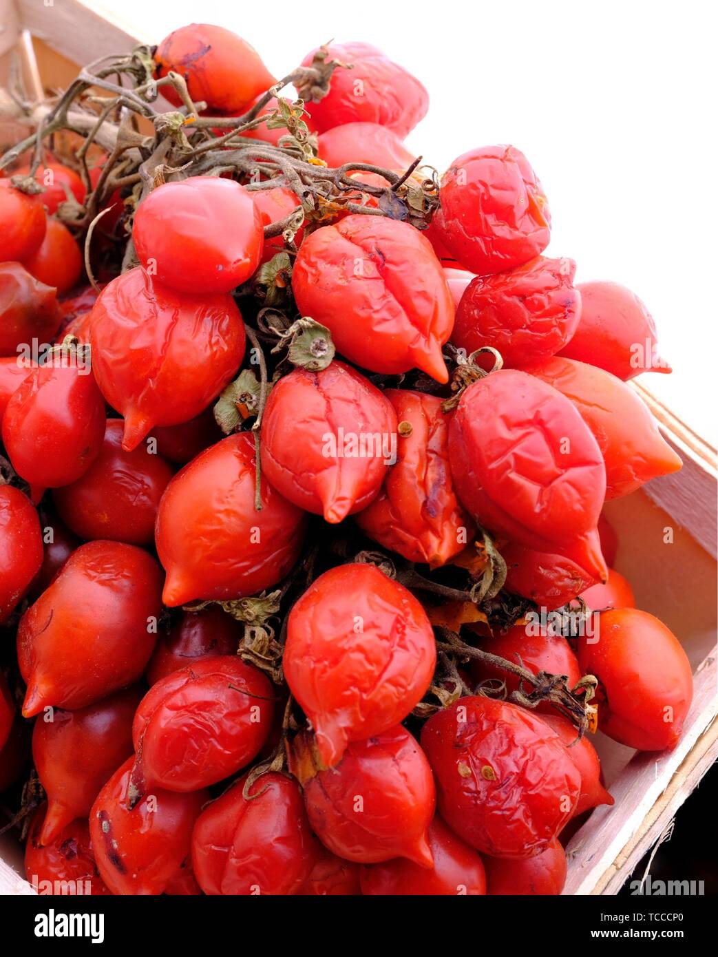 Tomatoes of Vesuvius joint in Piennolo, Naples Stock Photo - Alamy