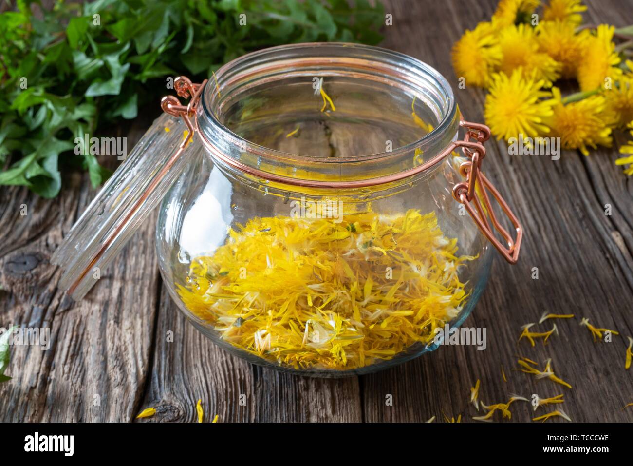 Preparation of homemade dandelion syrup from fresh flowers Stock Photo ...