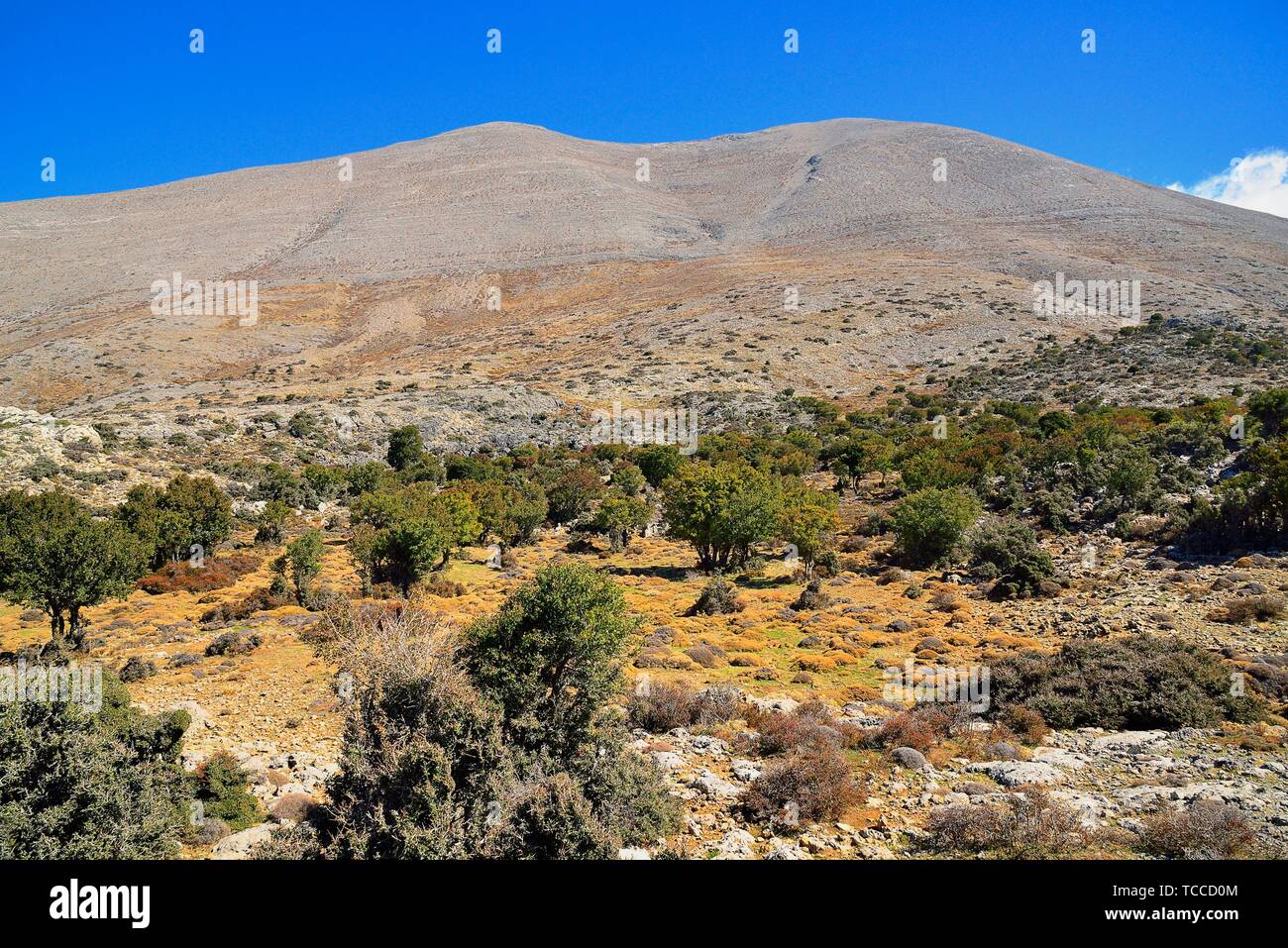 Ida mountain hi-res stock photography and images - Alamy