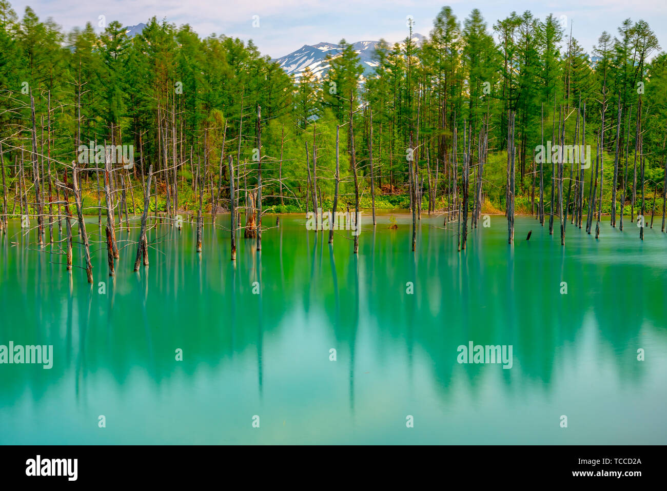 Shirogane onsen hi-res stock photography and images - Alamy