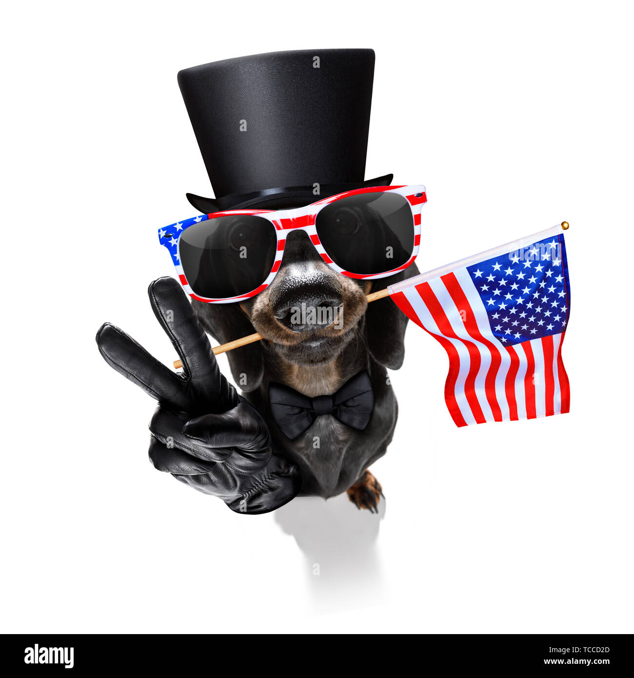 Dog waving hi-res stock photography and images - Alamy