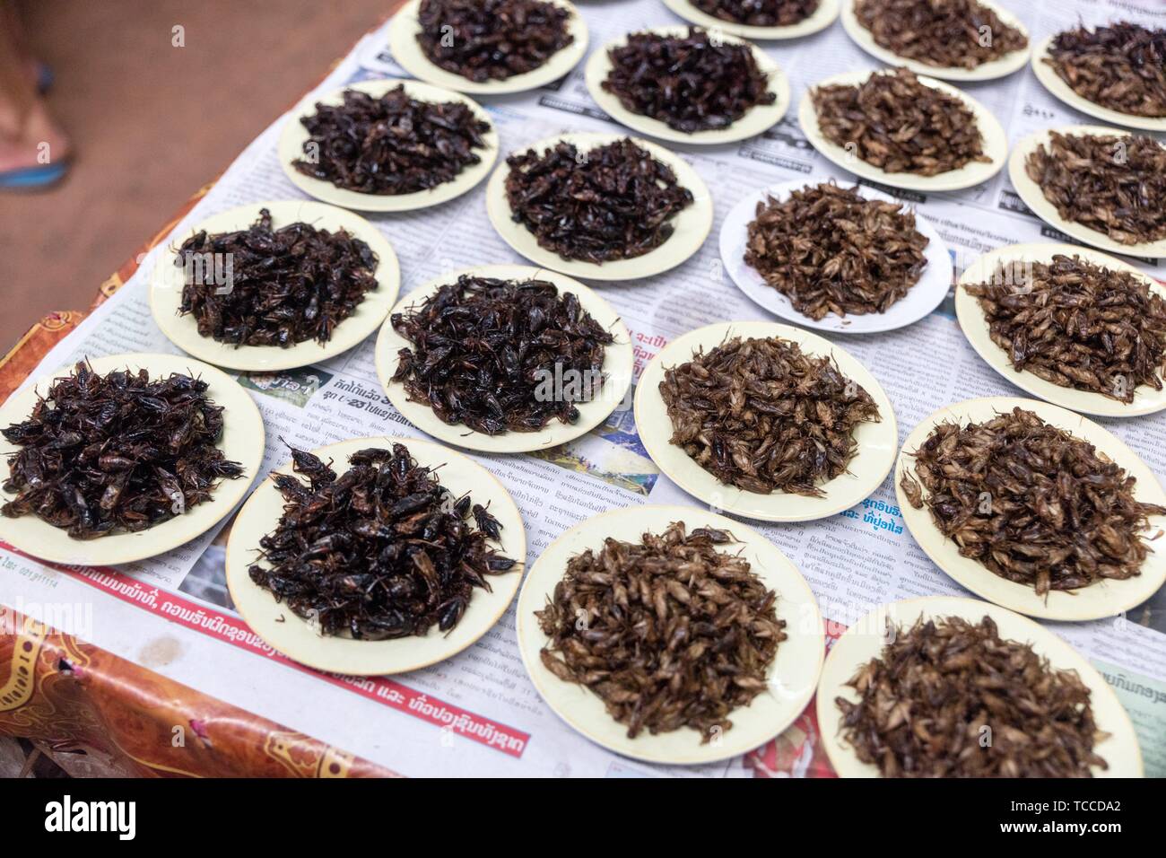 Insect food market hi-res stock photography and images - Alamy
