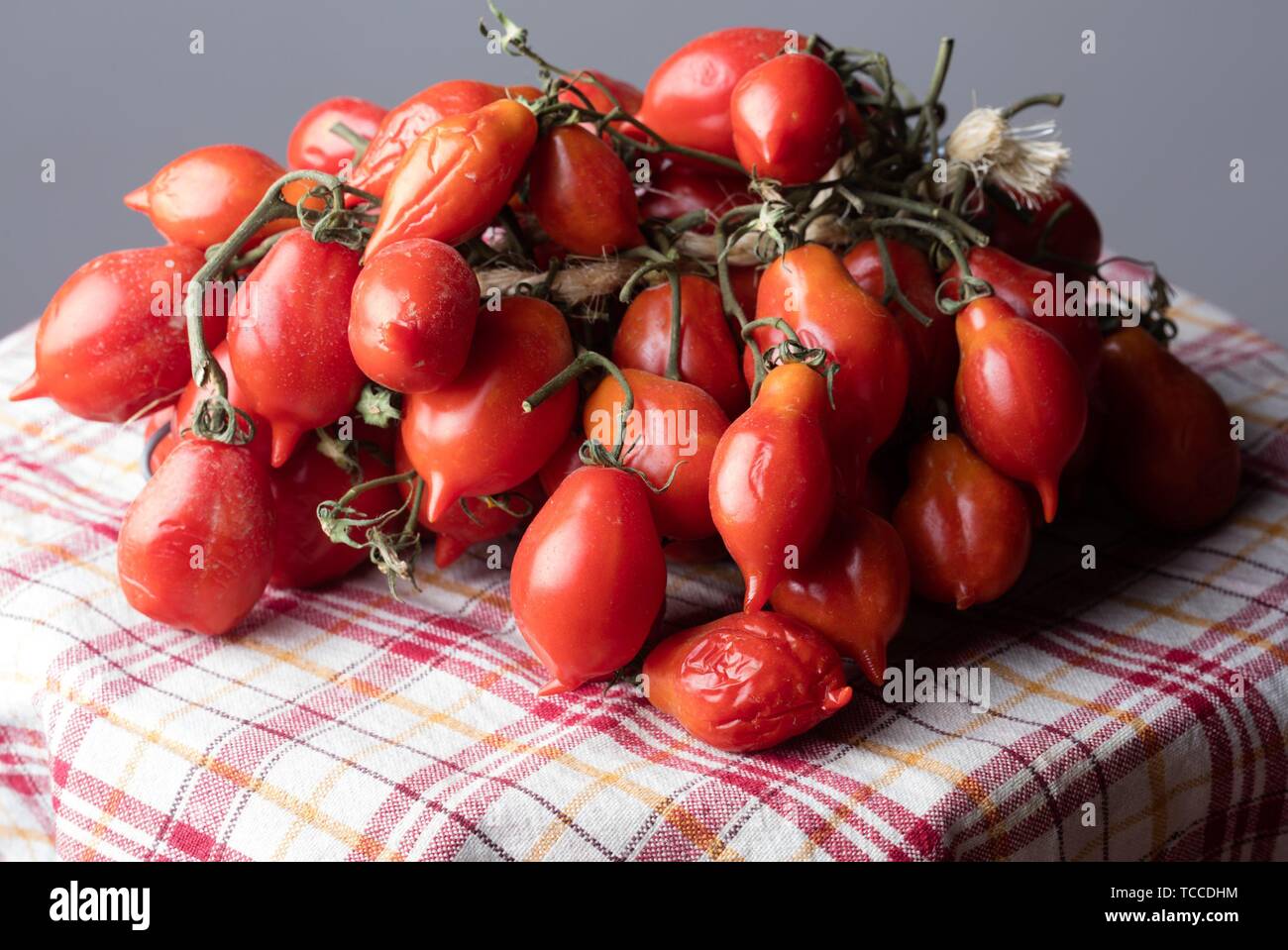 Tomatoes of Vesuvius joint in Piennolo, Naples Stock Photo - Alamy
