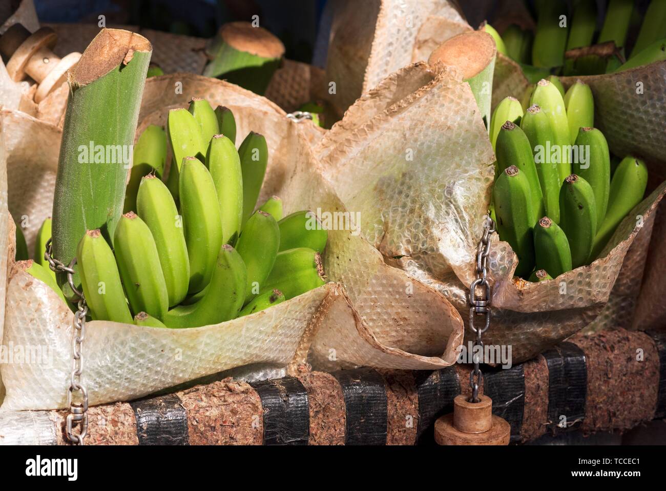 Business packaging hi-res stock photography and images - Alamy