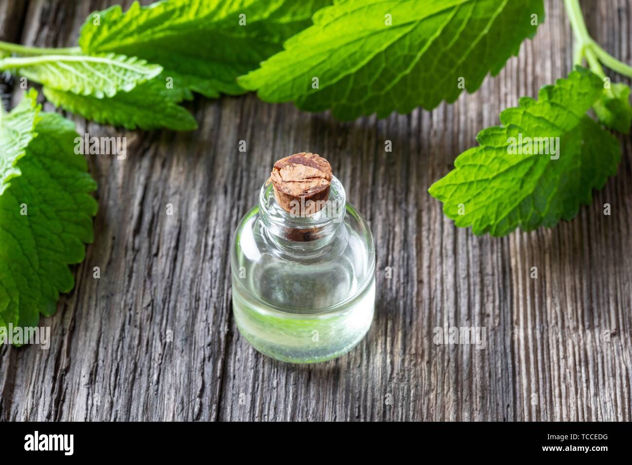 Melissa wood hi-res stock photography and images - Alamy