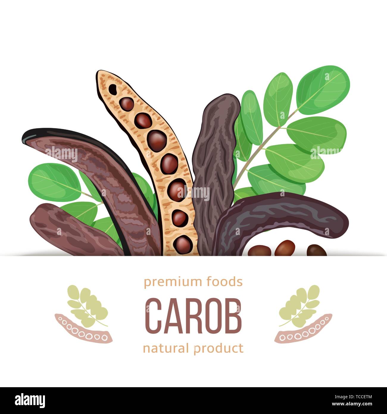 Ripe Carob label. branch with sweet pods, leaves on white background ...