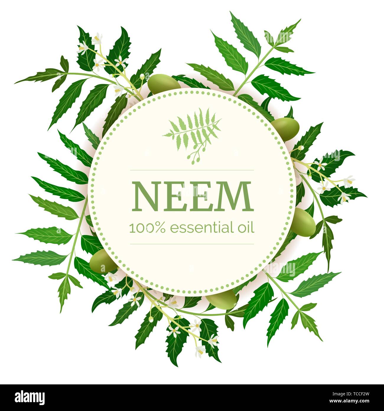 Insecticide herb Stock Vector Images - Alamy