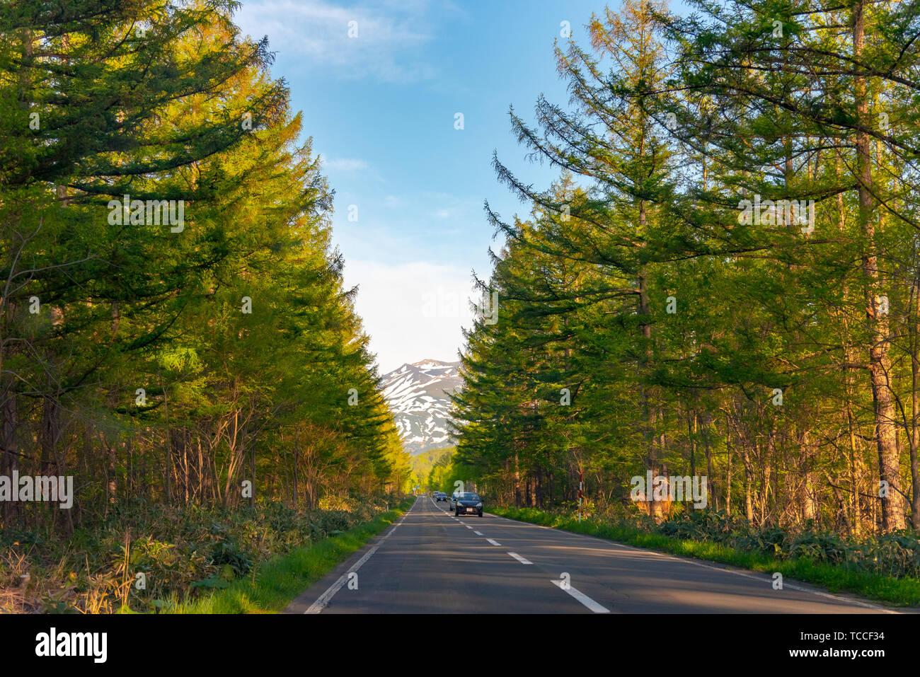 Road in hokkaido hi-res stock photography and images - Alamy