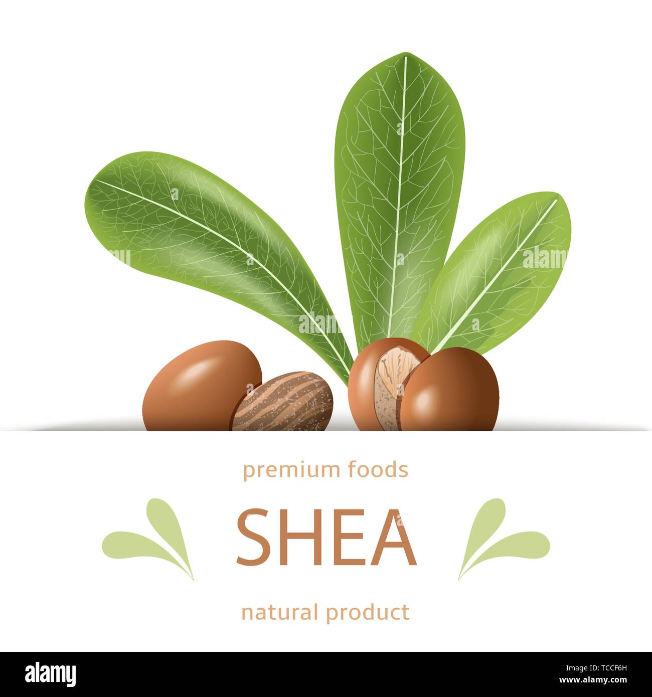 Shea nuts hi-res stock photography and images - Alamy