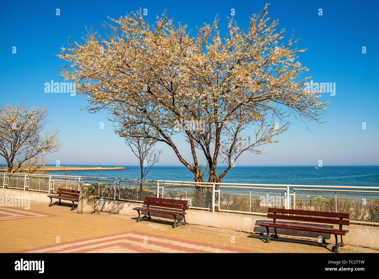 Ustka hi-res stock photography and images - Alamy