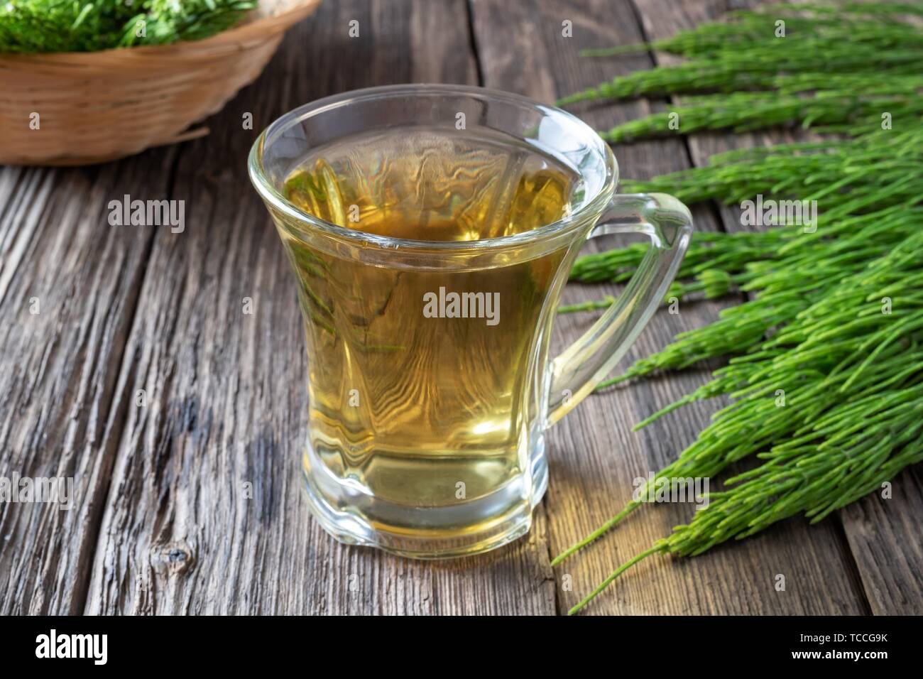 Horsetail Tea Equisetum Arvense High Resolution Stock Photography and ...