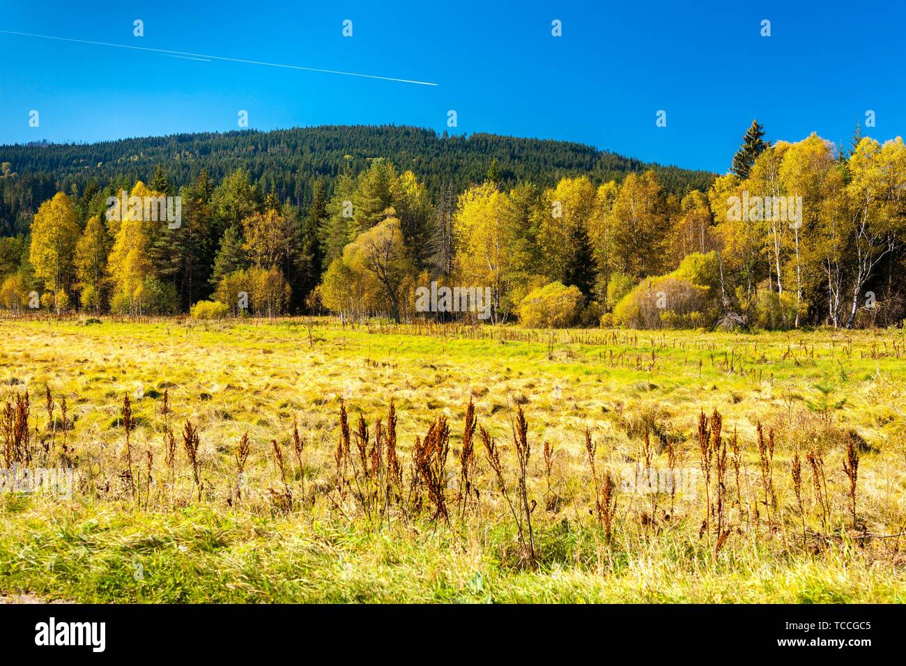 Np sumava hi-res stock photography and images - Alamy