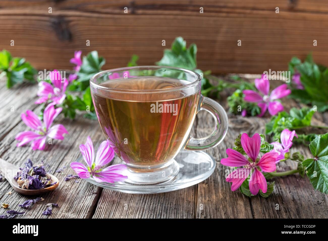 Mallow blossom tea hi-res stock photography and images - Alamy