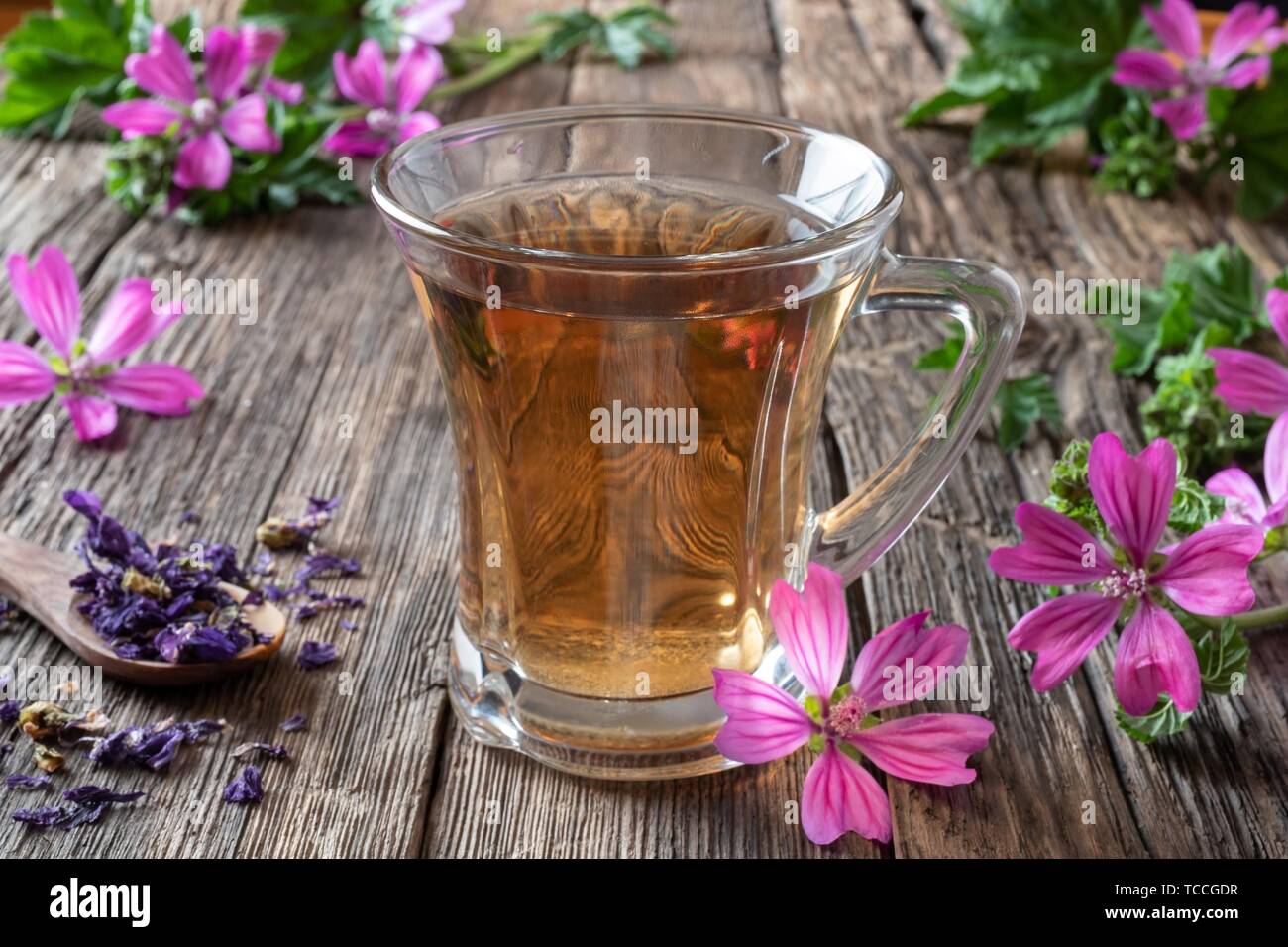 Malva sylvestris in tea cup hi-res stock photography and images - Alamy