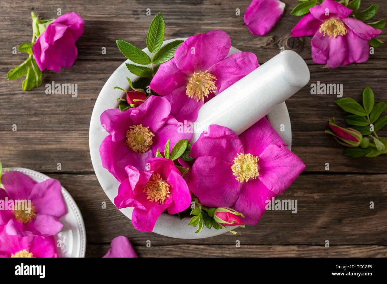 Mortar and pestle top view hi-res stock photography and images - Alamy