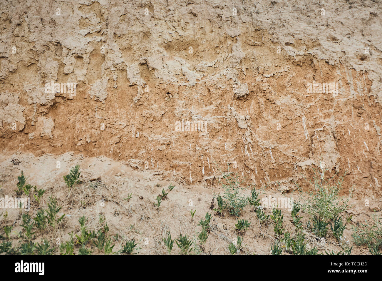 Dry soil texture abstract natural texture background Stock Photo - Alamy