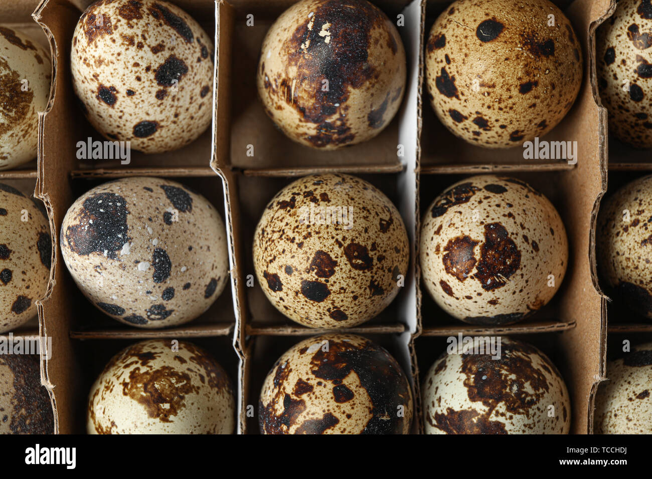 Quail eggs in carton box as background, closeup and top view Stock ...