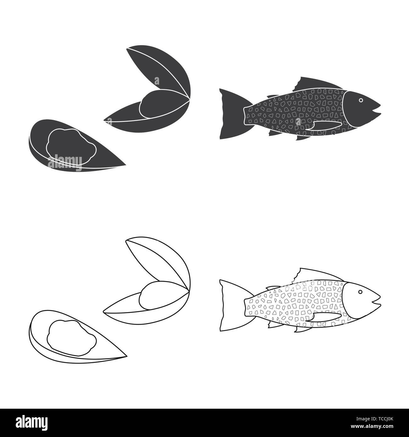 mussel,salmon,clam,fish,shell,trout,oyster,delicacy,phosphorus,jelly ...