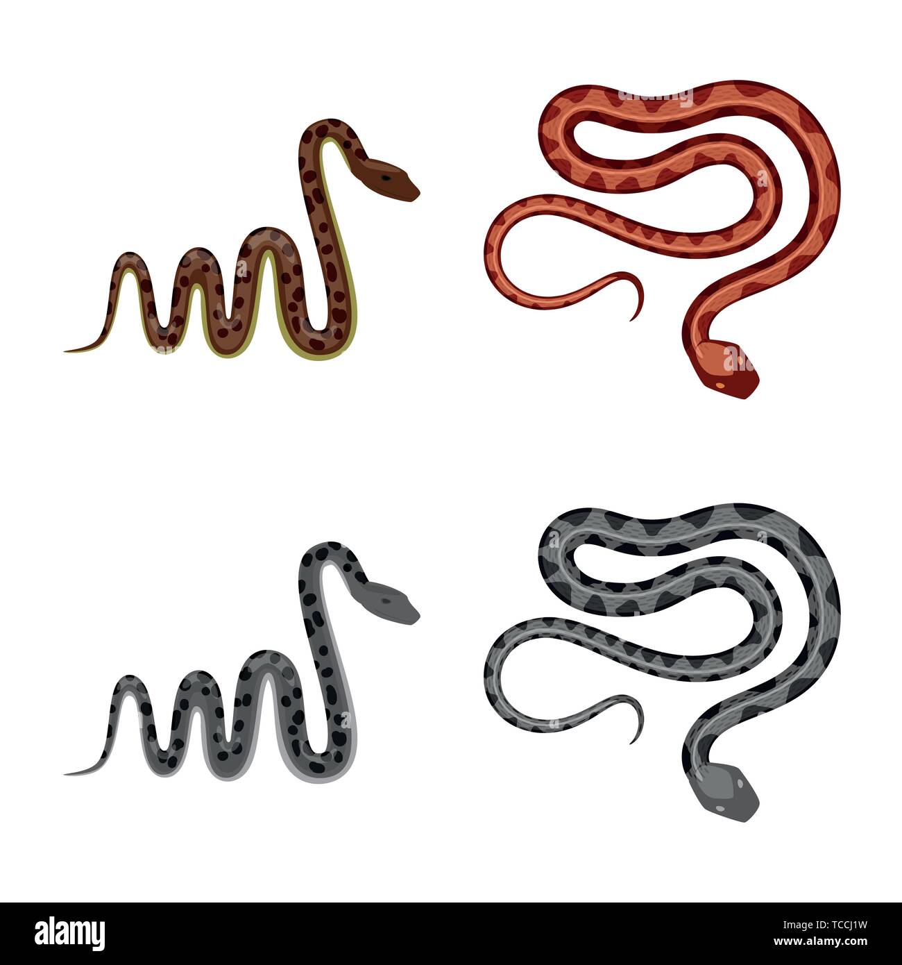 snake,viper,python,jungle,forest,large,seamless,tropical,animal ...