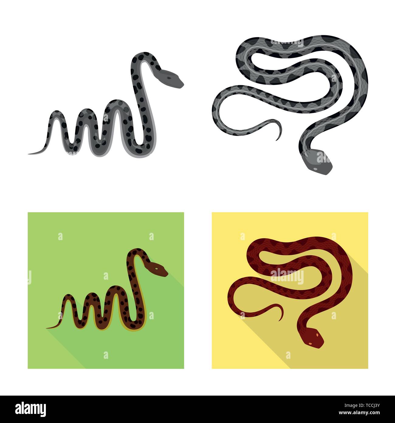 snake,viper,python,jungle,forest,large,seamless,tropical,animal ...