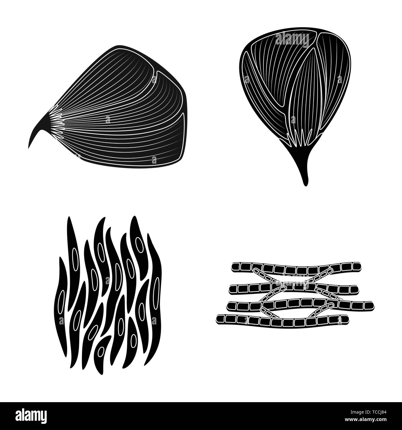 Vector illustration of human and body logo. Collection of human and ...