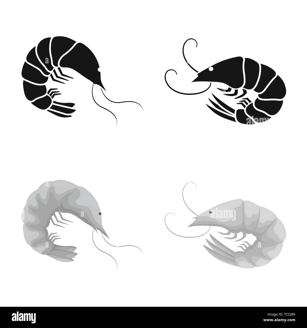 prawn,creature,raw,boiled,fresh,cooked,restaurant,luxury,underwater ...