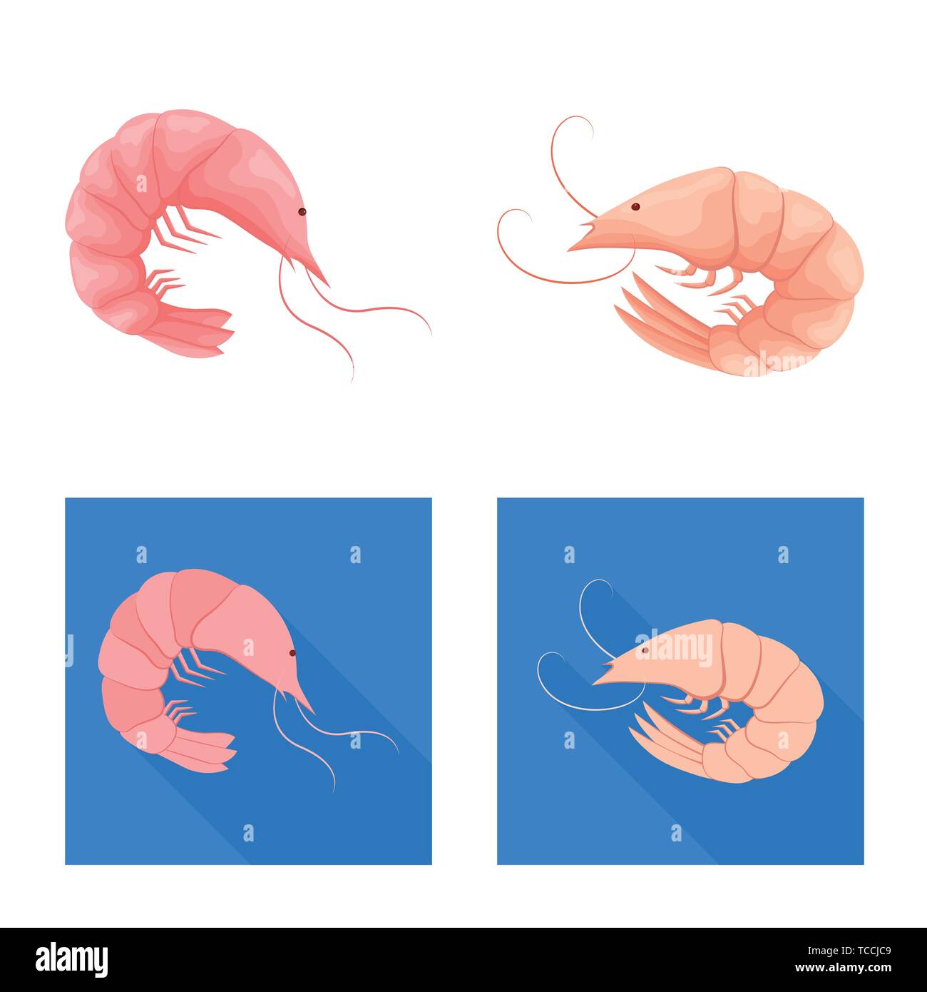 prawn,creature,raw,boiled,fresh,cooked,restaurant,luxury,underwater ...