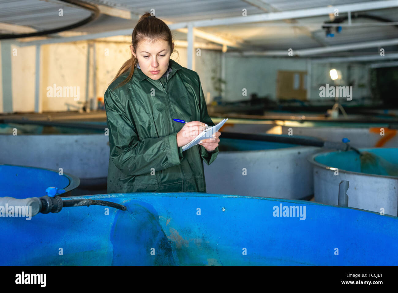 Young female worker of trout farm watching fish in pools, writing in ...