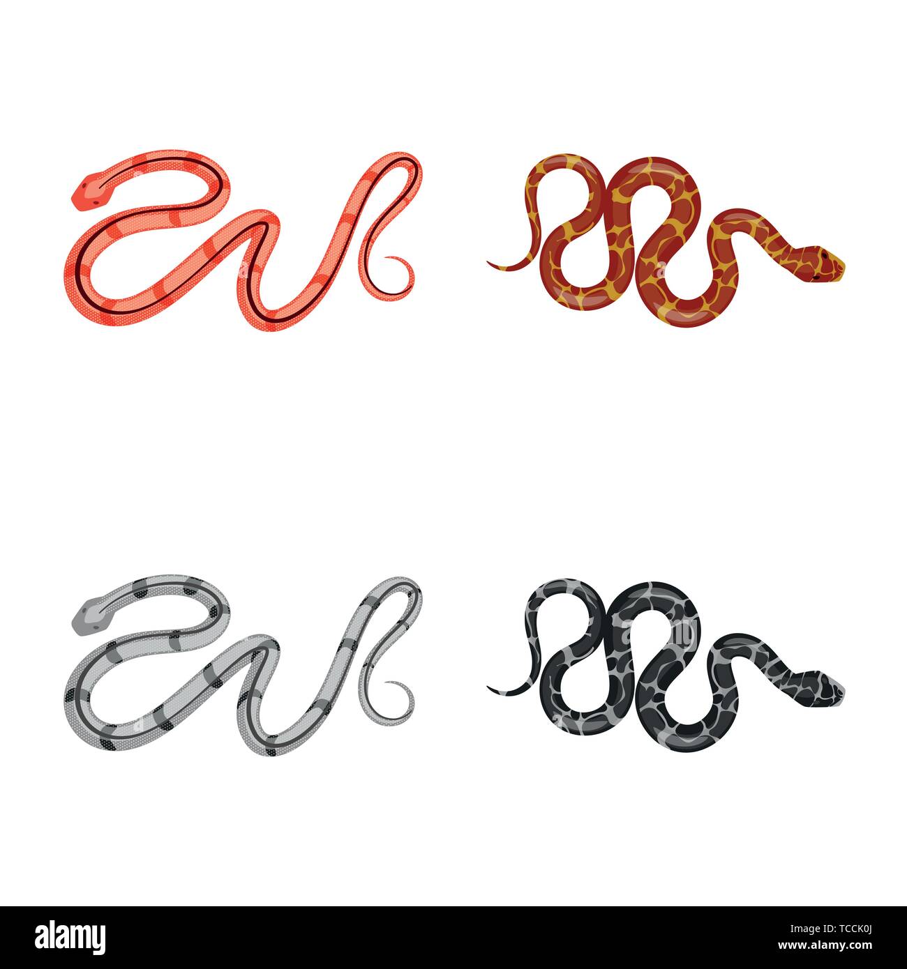 snake,tail,wild,spiral,tropics,brazil,tropical,forest,brown,peril ...